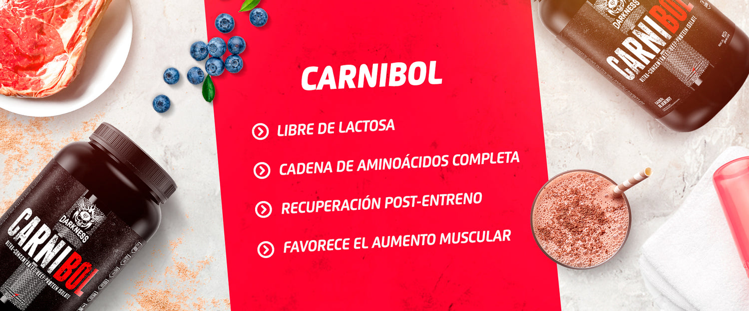 CARNIBOL – nutrexplosion