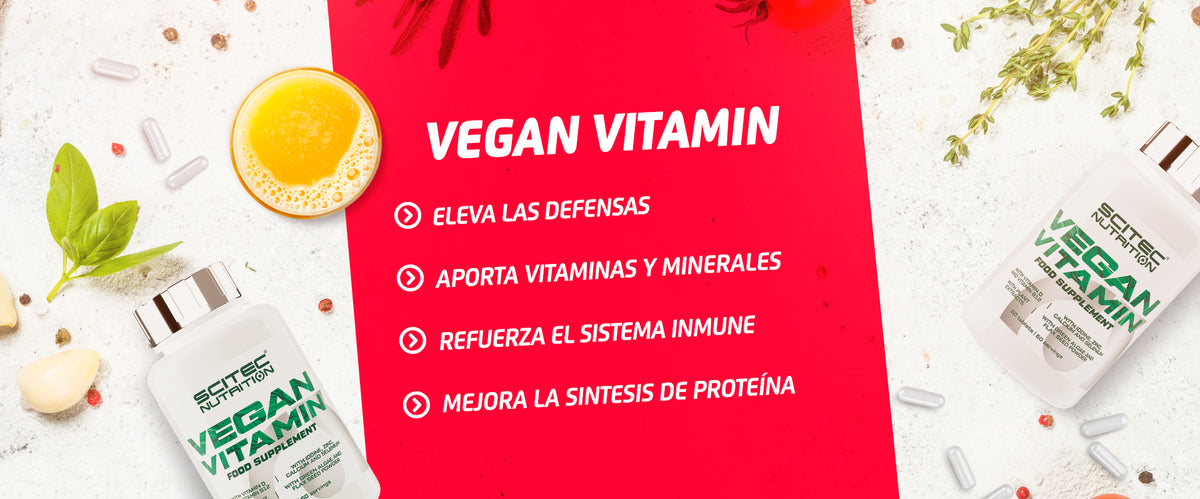 VEGAN VITAMIN – nutrexplosion
